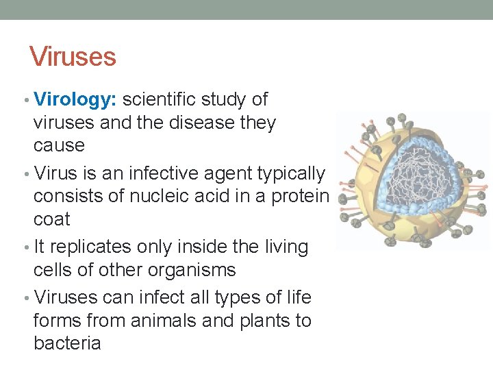 PRACTICAL VIROLOGY Introduction Lab 1 Laboratory Safety It