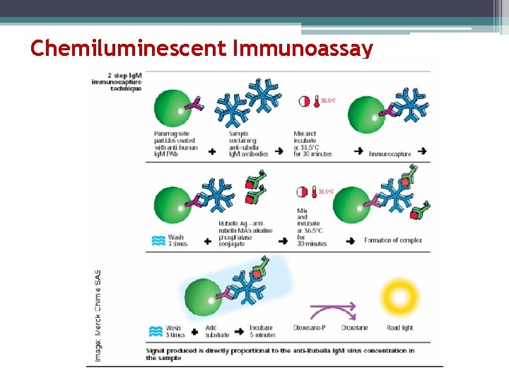 Labeled Immunoassays Labeled Immunoassays Some antigenantibody ...