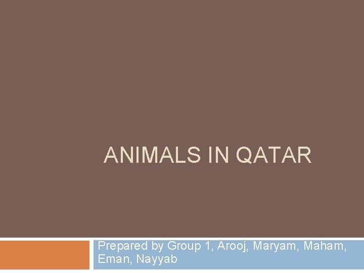 ANIMALS IN QATAR Prepared by Group 1 Arooj