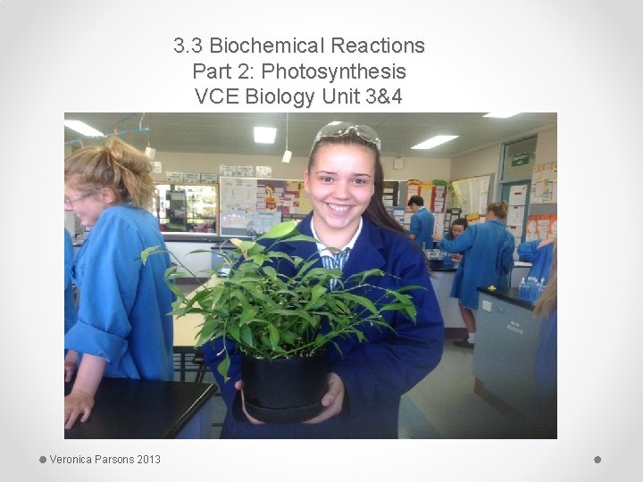3 3 Biochemical Reactions Part 2 Photosynthesis VCE