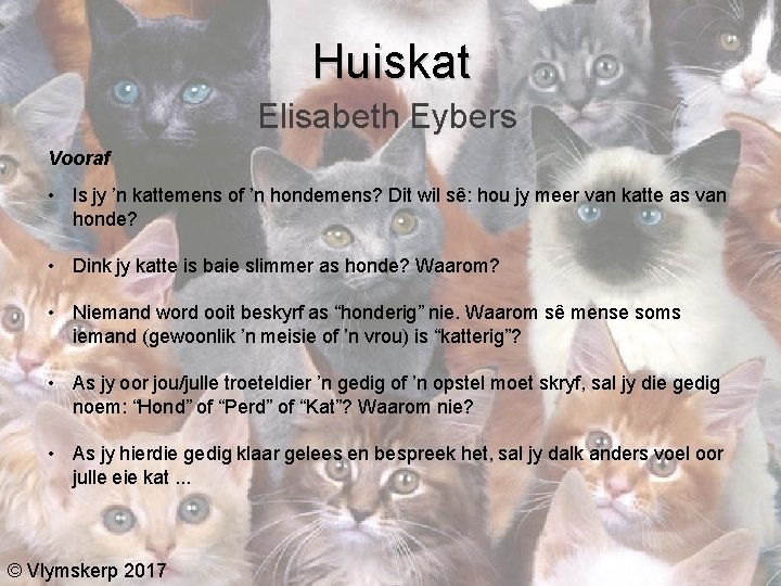 Huiskat Elisabeth Eybers Vooraf Is jy n kattemens