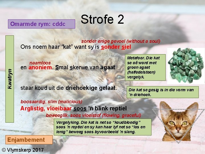 Huiskat Elisabeth Eybers Vooraf Is jy n kattemens