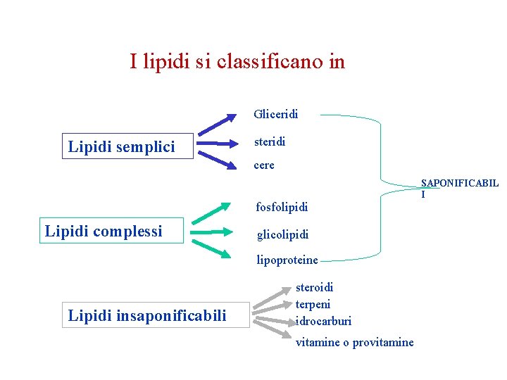 Schemi delle lezioni Cosa sono i grassi o
