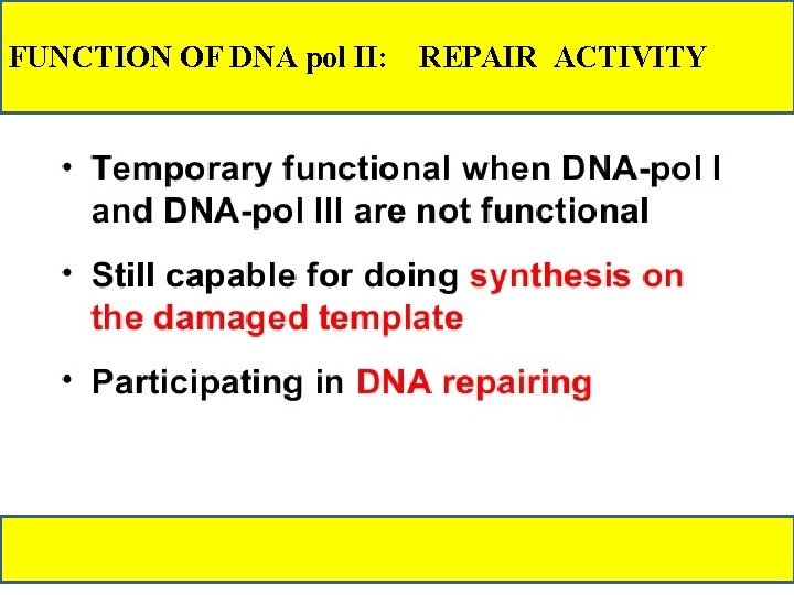 DNAREPLICATION IN PROKARYOTES Study Material for B Sc