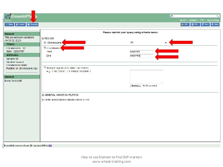 Stepbystep demo of using Bio Mart to extract
