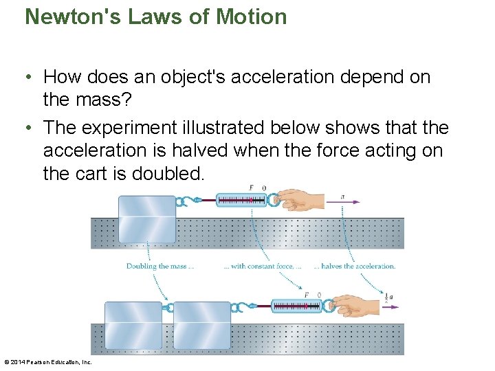 Chapter 5 Lecture Pearson Physics Newtons Laws of