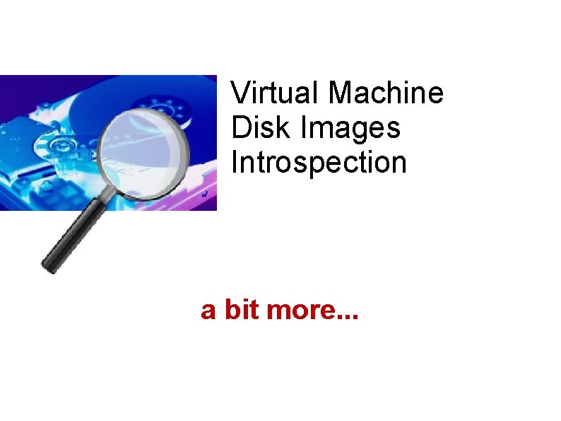 Virtual Machine Disk Images Introspection and a bit