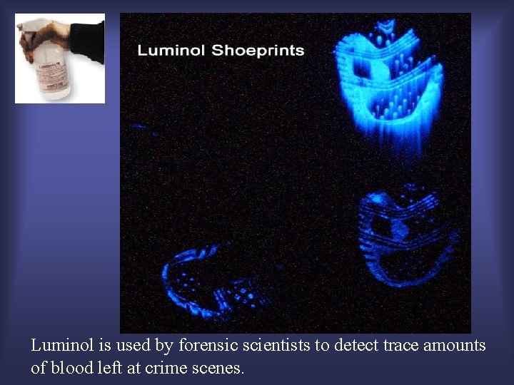 SEROLOGY SEROLOGY The science of body fluid identification