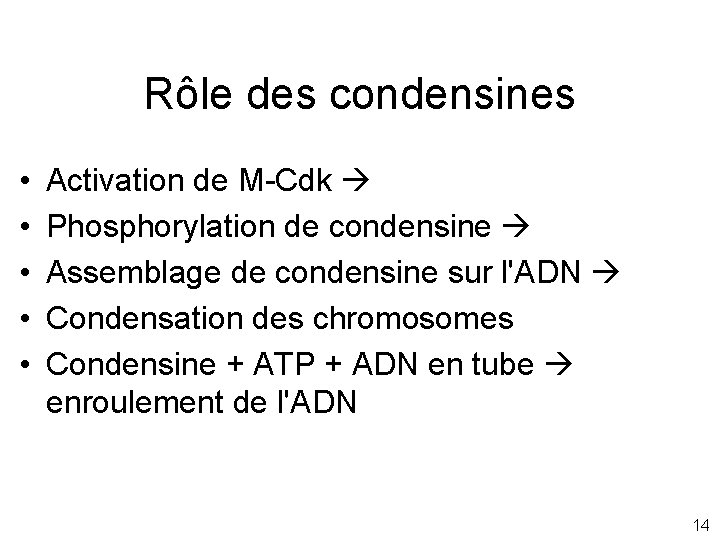 LA MCANIQUE DE LA DIVISION CELLULAIRE Cycle cellulaire