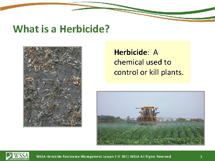 How Herbicides Work Lesson 2 The copyright in