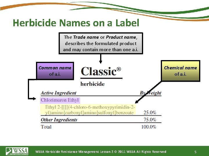 How Herbicides Work Lesson 2 The copyright in