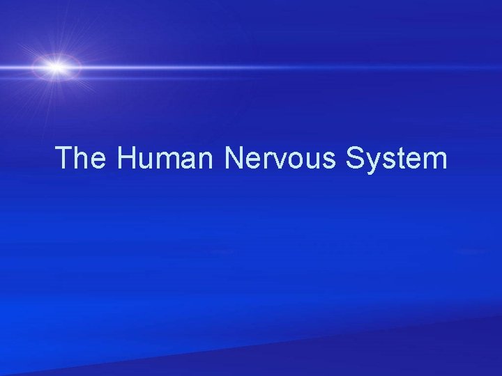 The Human Nervous System The Nervous System has