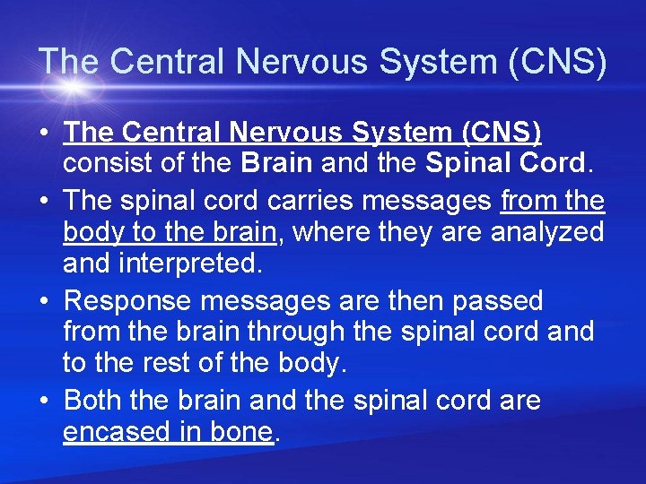 The Human Nervous System The Nervous System has