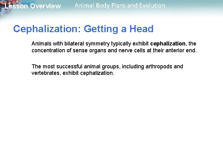 Lesson Overview Animal Body Plans and Evolution Lesson