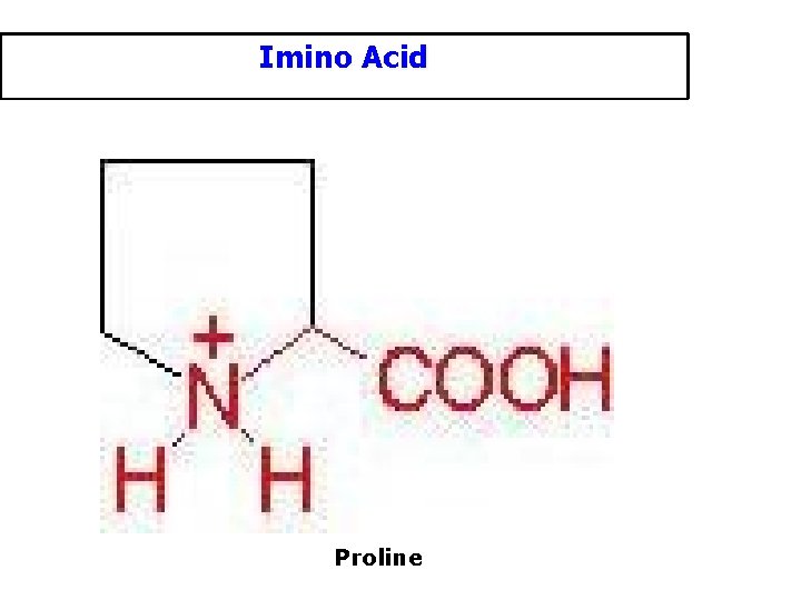 Amino Acids and Protein Chemistry For nursing Faculty