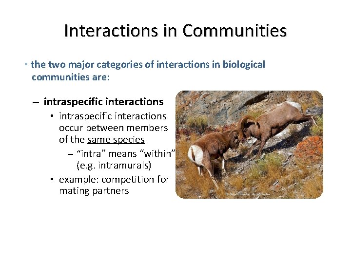Interactions in Communities the two major categories of