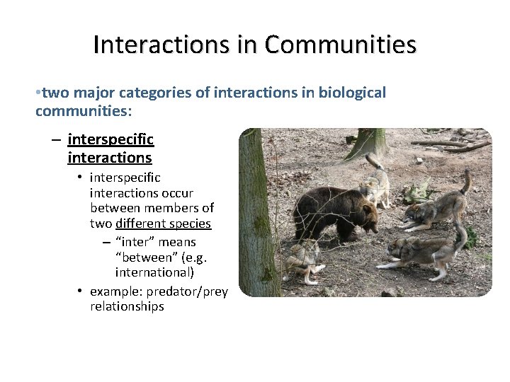 Interactions in Communities the two major categories of