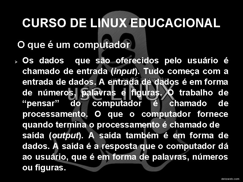 CURSO DE LINUX EDUCACIONAL INTRODUO A INFORMTICA CURSO