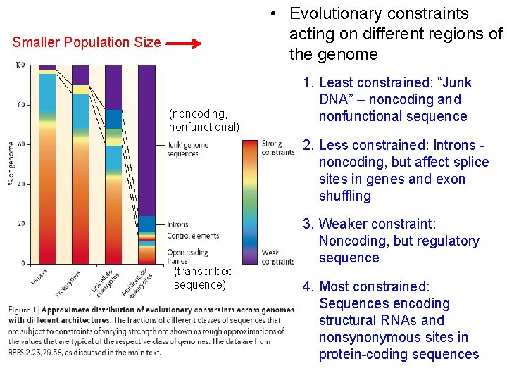 Genome Evolution Carol Eunmi Lee Evolution 410 University