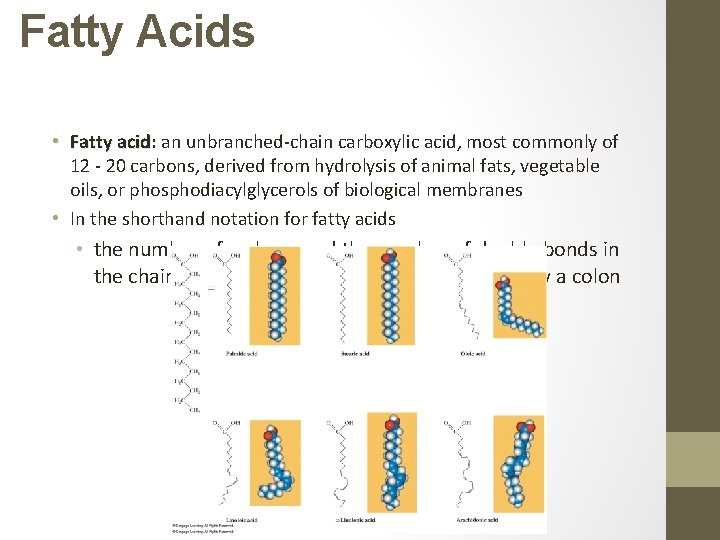 Chapter Four Lipids The Associated in Biological Membranes