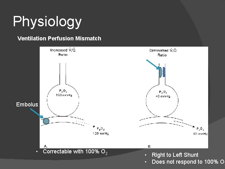 PULMONARY CONSIDERATIONS AND COMPLICATIONS IN NEUROSURGERY Anatomy ...