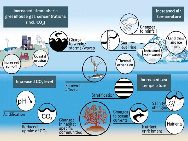 Physical and Chemical Oceanography SECTION 7 PART I