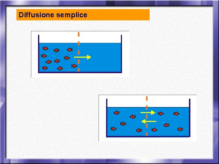 Comunicazione fra cellula e ambiente Omeostasi Capacit di