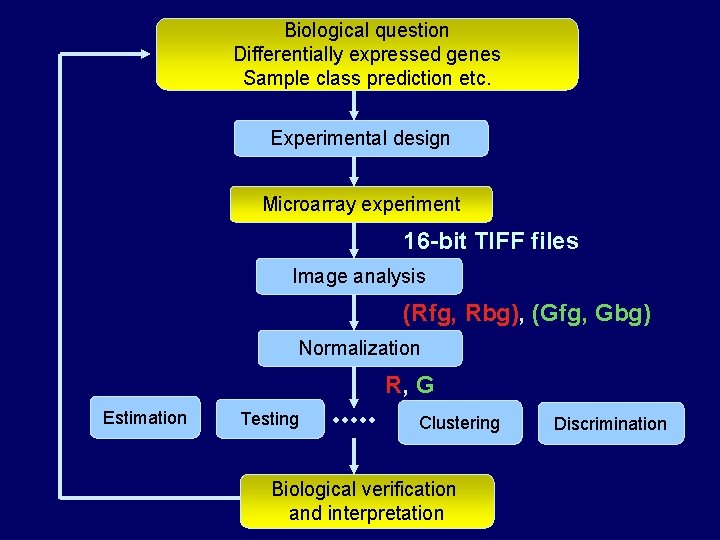 Introduction to Microarray Dr G P S Raghava