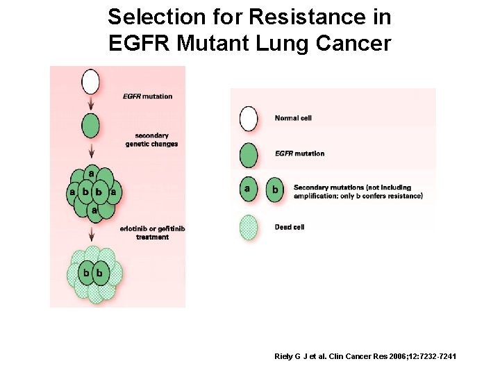 What is Acquired Resistance and How Does it