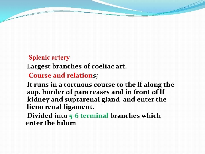 ARTERIAL SUPPLY OF THE GUT Dr Alaa Jamel