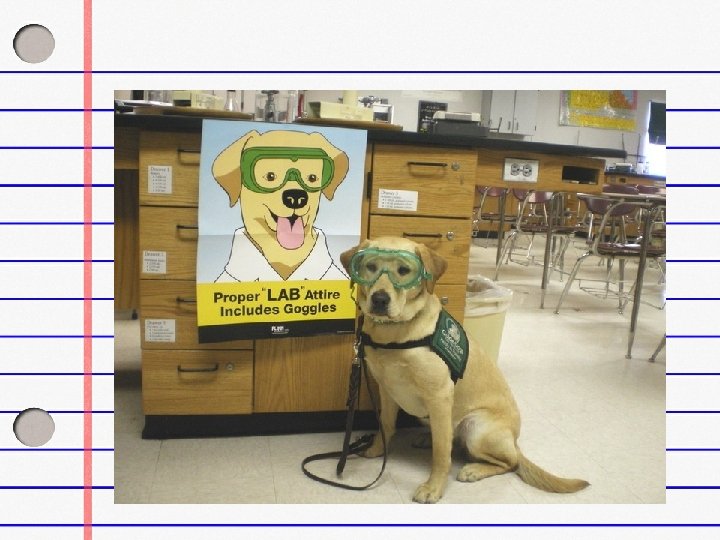 The Importance of Lab Safety Safe lab environments