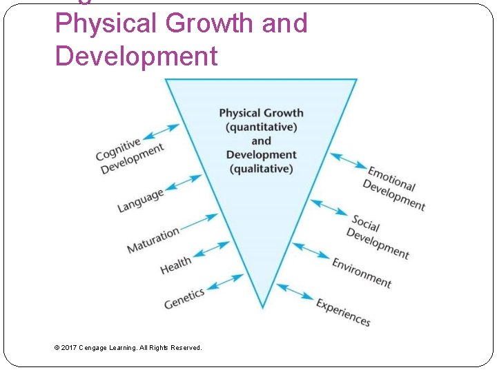 Chapter 4 Using Checklists to Look at Physical