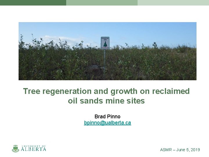 Tree regeneration and growth on reclaimed oil sands