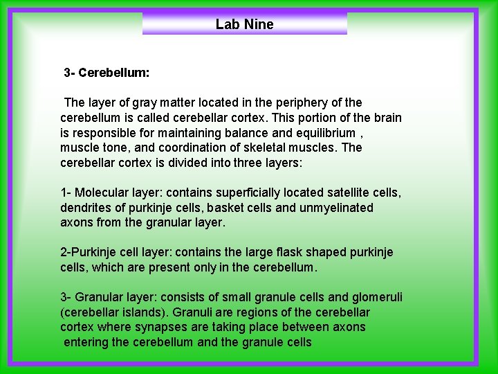 General Histology Practical Lab Nine Central nervous system