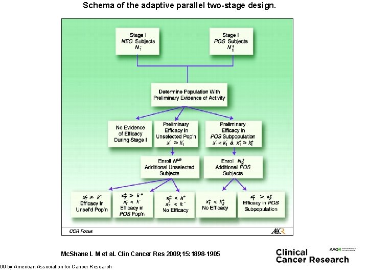 Biomarkers in Phase II designs in cancer clinical