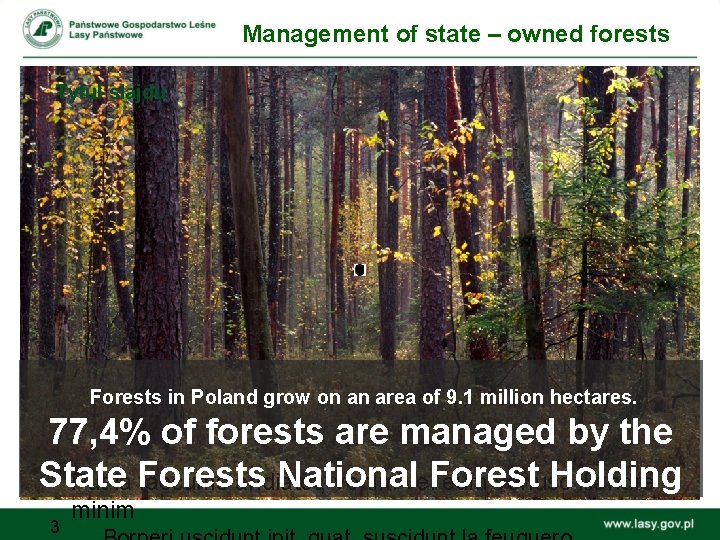 Management of state owned forests Tbilisi 5 th