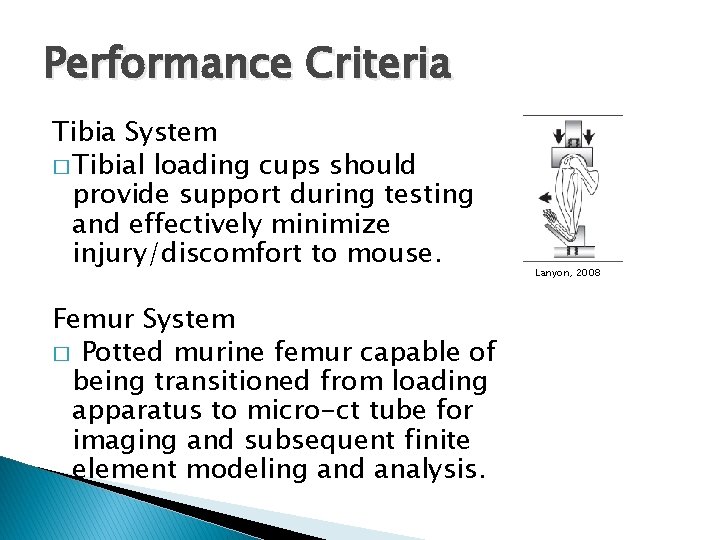 Models for Axial Loading of Murine Long Bones