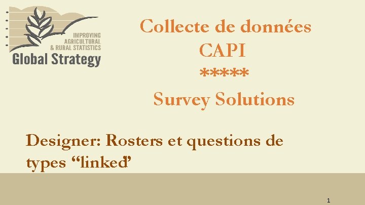 Collecte de donnes CAPI Survey Solutions Designer Rosters