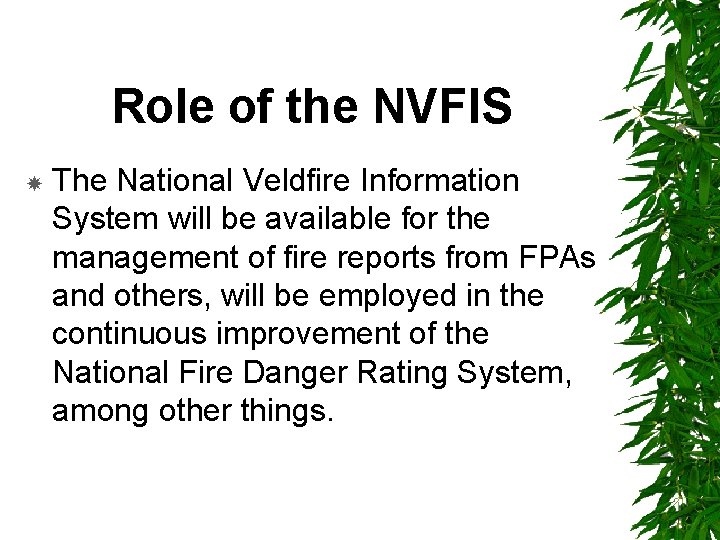 National Veldfire Information System Role of the NVFIS