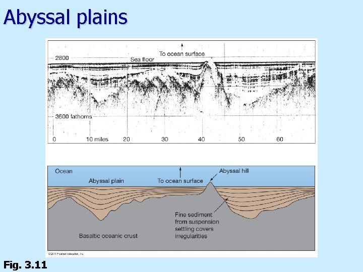 CHAPTER 3 Marine Provinces http www oceaninstitute orgeduprogramsmaterials