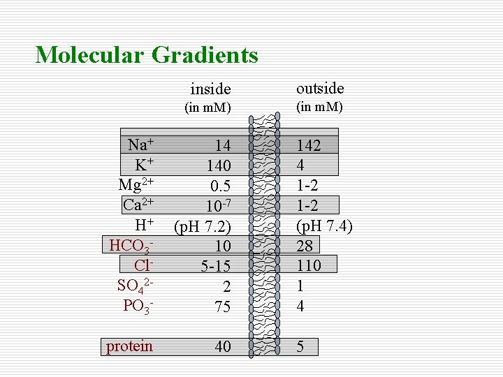 Membrane transport L 1 Faisal I Mohammed MD