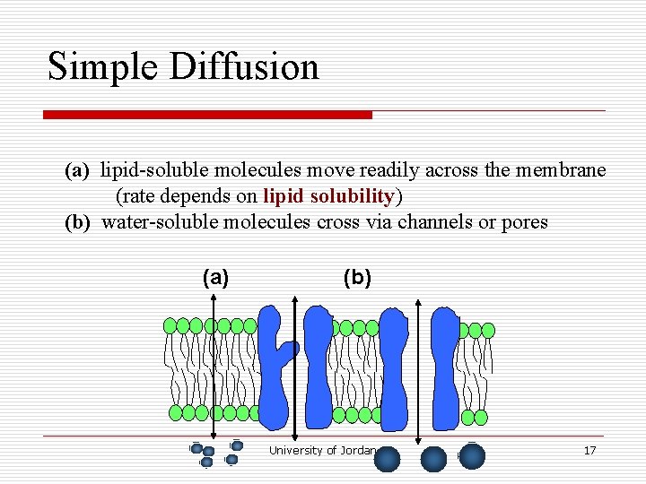 Membrane transport L 1 Faisal I Mohammed MD