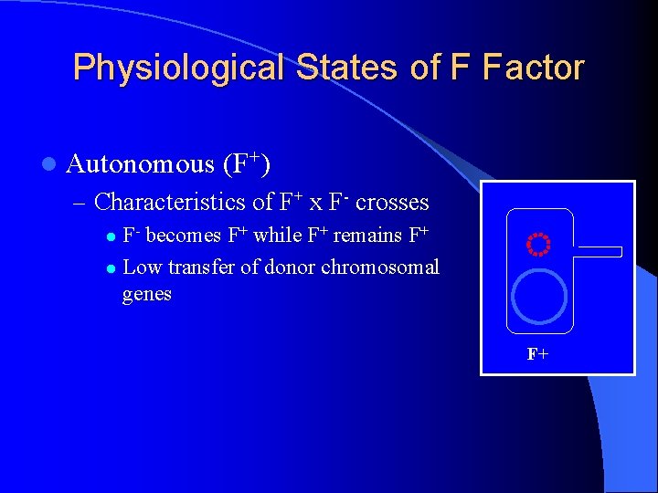 Chapter 2 Bacrerial Heredity and Variation ORGANIZATION OF