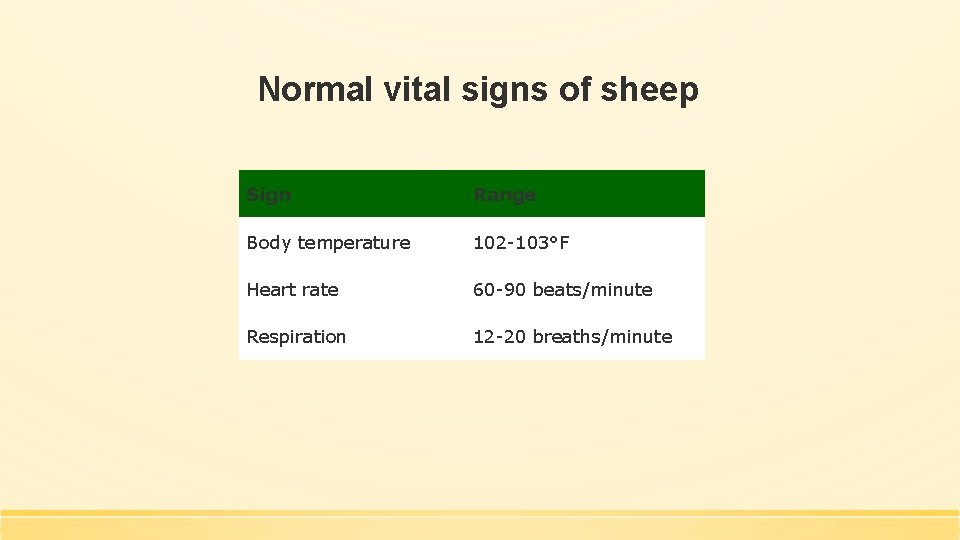 Pre operative procedure For exploratory laparotomy in Rebecca