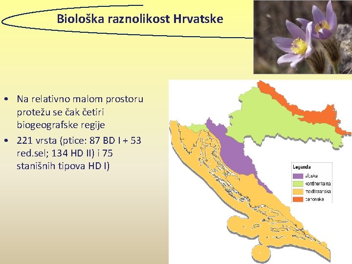 NATURA 2000 u Hrvatskoj Petra Rodi Baranovi Dravni