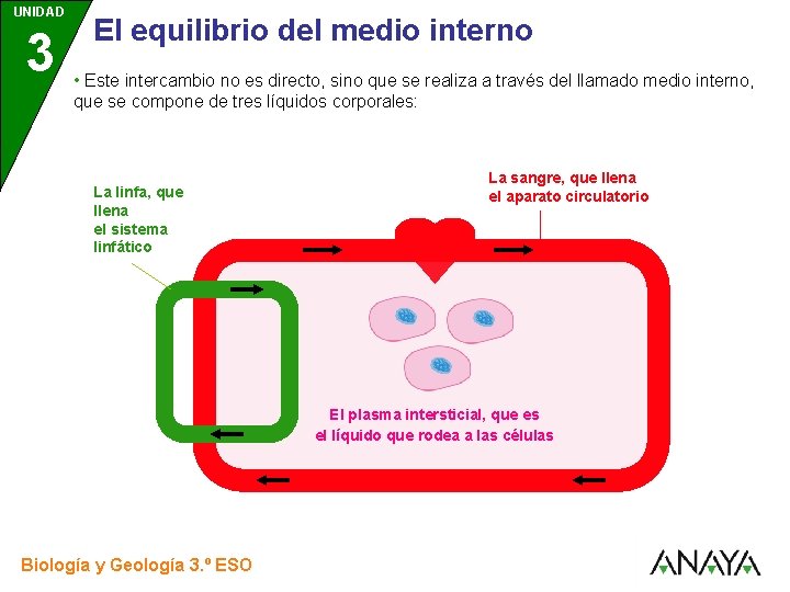 UNIDAD 3 Aparatos para la nutricin EL EQUILIBRIO