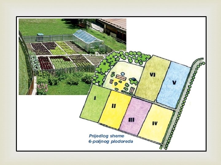 PLODORED 2 razred BILINOGOJSTVO Agroturistiki tehniar PLODORED Plodored