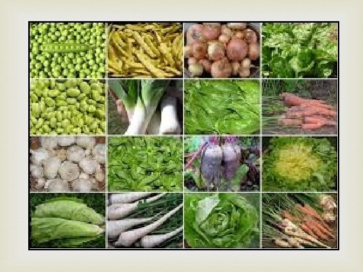 PLODORED 2 razred BILINOGOJSTVO Agroturistiki tehniar PLODORED Plodored