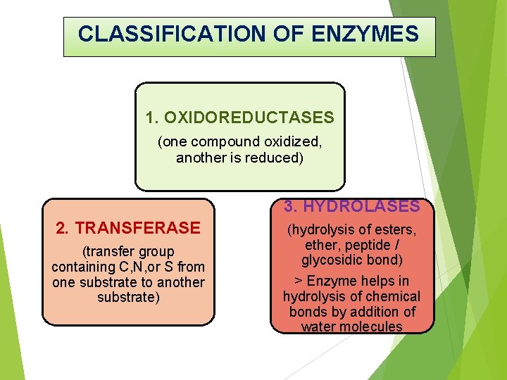 UNIT 7 ENZYMOLOGY Learning Objectives Explain the role