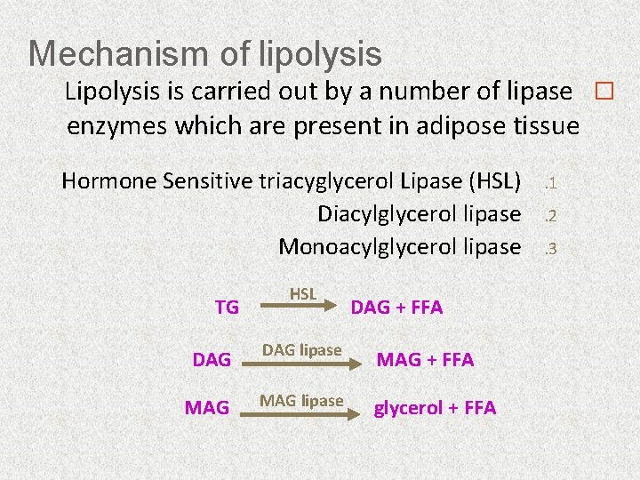 Lipids Dr Sooad AlDaihan Biochemistry department Lipids Heterogeneous
